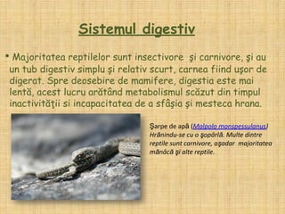 174859901-Reptile-Sistemul-Digestiv-Si-Cel-Excretor.pdf
