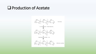Acetate and Triacetate fiber | PDF