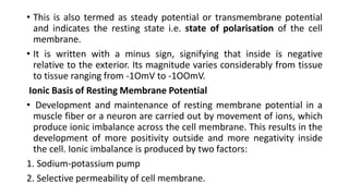 Comprehensive Overview of Resting Membrane Potential and Action ...