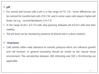 Animal cell culture | PPTX