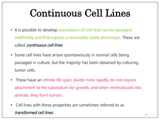 Animal cell culture | PPTX