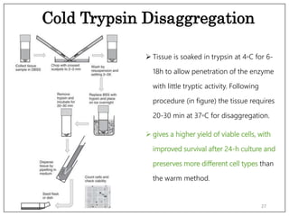 Animal cell culture | PPTX