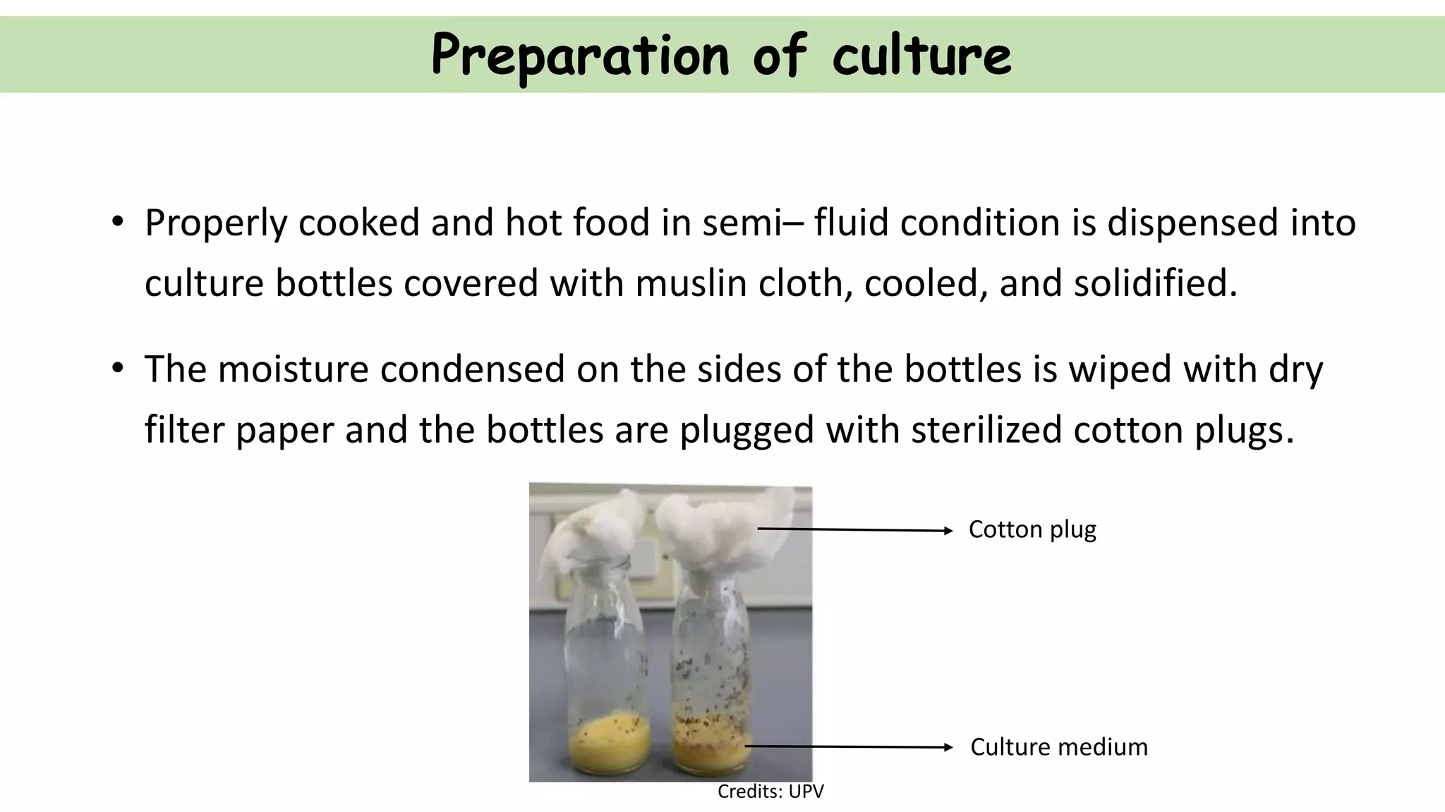 Drosophila Features, Life Cycle & Culture | PPTX