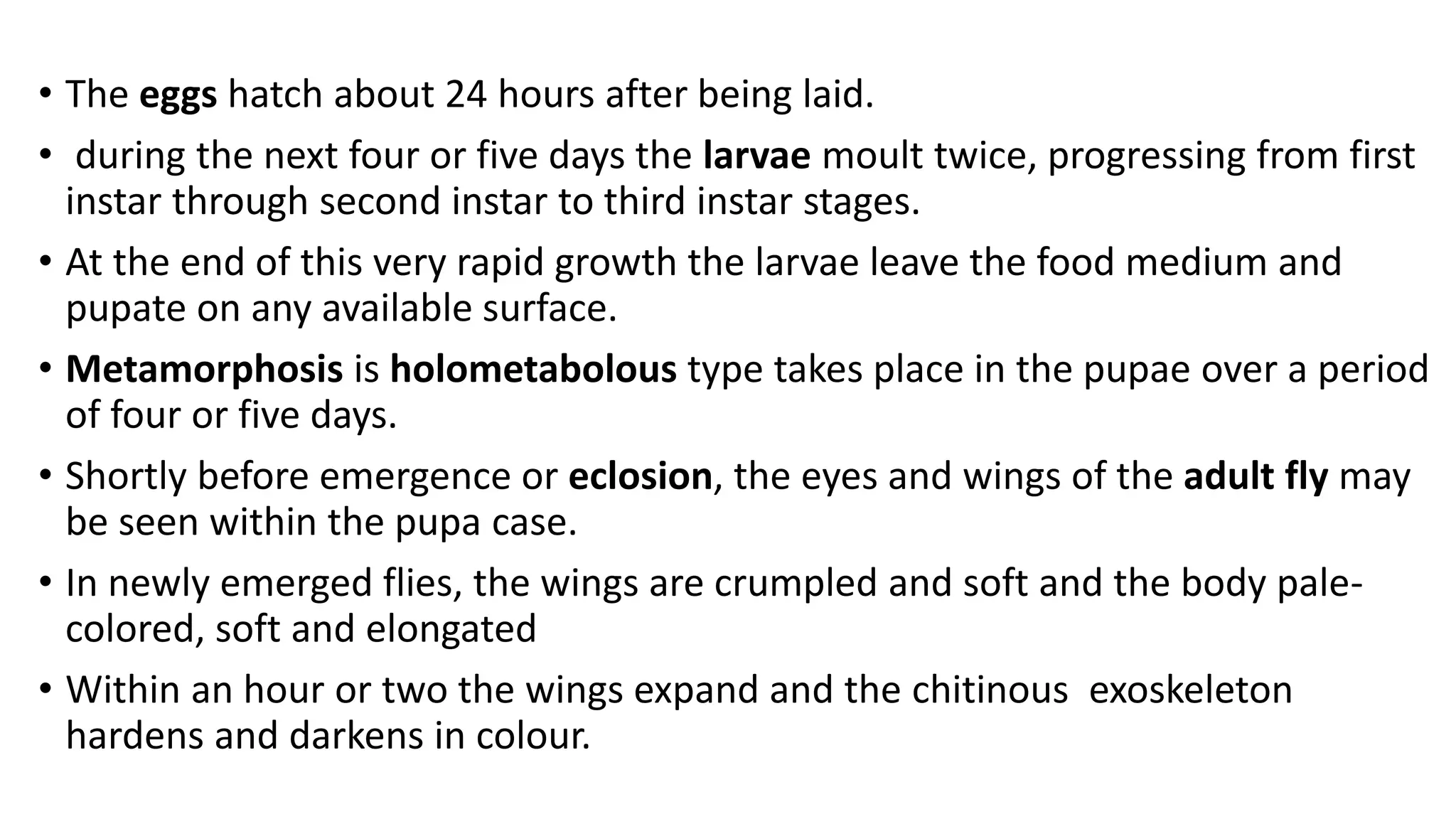 Drosophila Features, Life Cycle & Culture | PPTX