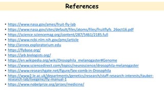 Drosophila Features, Life Cycle & Culture | PPTX