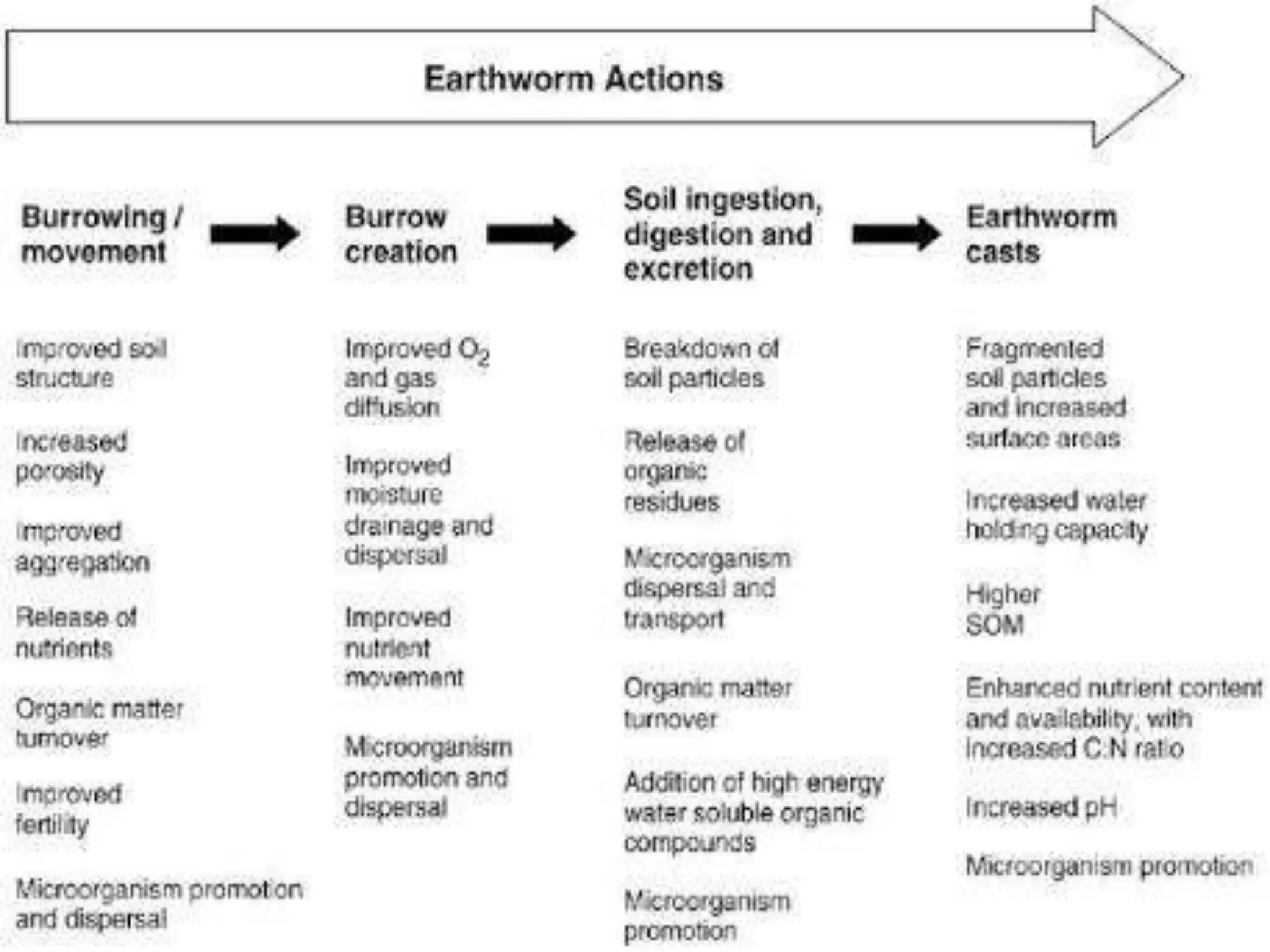 role of earthworm in soil fertility | PPTX