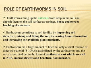 Role Of Earthworms In Soil Fertility