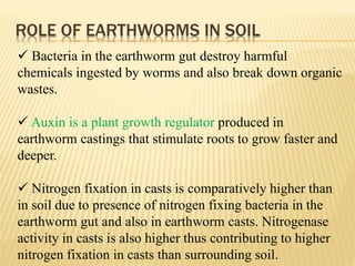 Role Of Earthworms In Soil Fertility