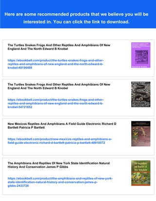 Reptiles And Amphibians Of New Zealand A Field Guide None Dylan Van ...