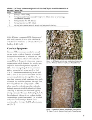 Publication of mine gtr_nrs139 | PDF