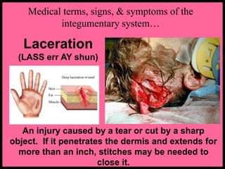 Medical terminology science in details.. | PPT | Free Download