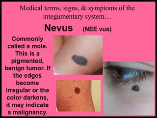 Medical terminology science in details.. | PPT