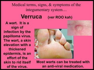 Medical terminology science in details.. | PPT | Free Download