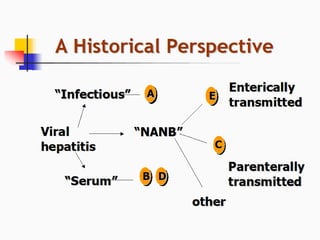 Hepatitis C | PPT