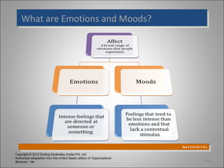 organizational behavior | PPT