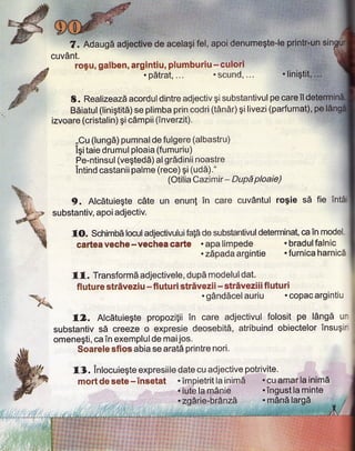 176847742 culegere-limba-romana-pentru-clasele-1-4 | PDF