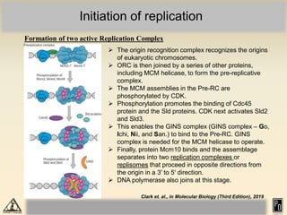 1768816628DNA replication in eukaryotes.pdf