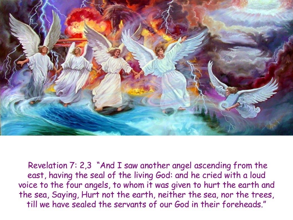 176978222 revelation-7