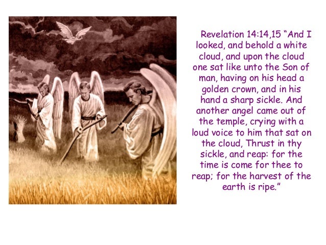 176983047 revelation-14 (1)