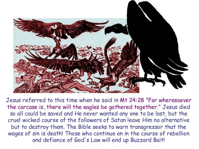 176986025 revelation-19