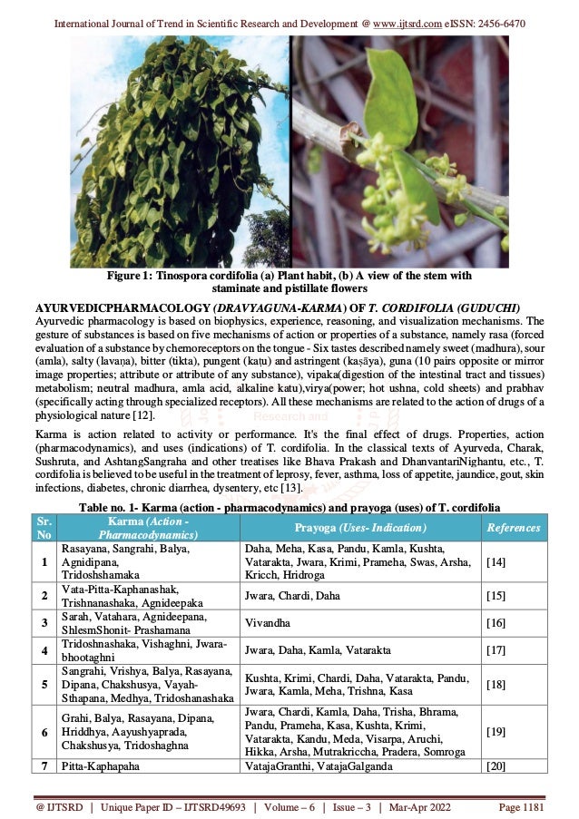 An Overview of Tinospora Cordifolia’s Chemical Constituents and ...