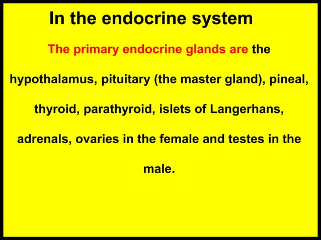 177-Anatomy-Endocrine-System.ppt