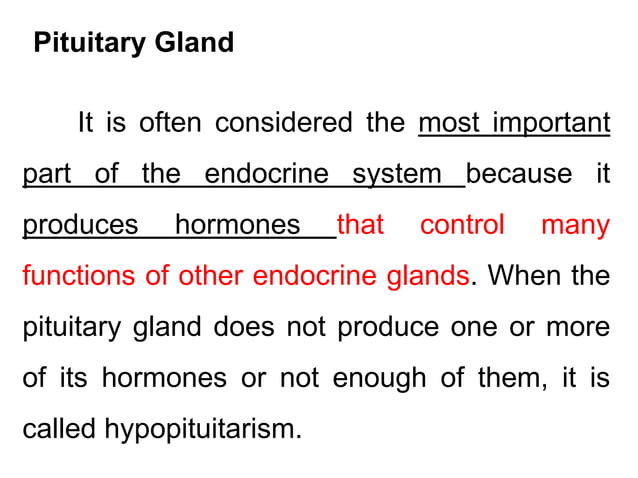 177-Anatomy-Endocrine-System.ppt