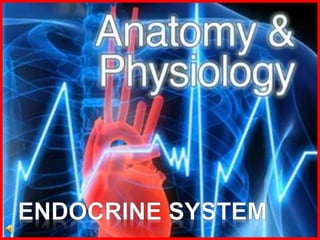 177-Anatomy-Endocrine-System Grade 10 Science | PPTX
