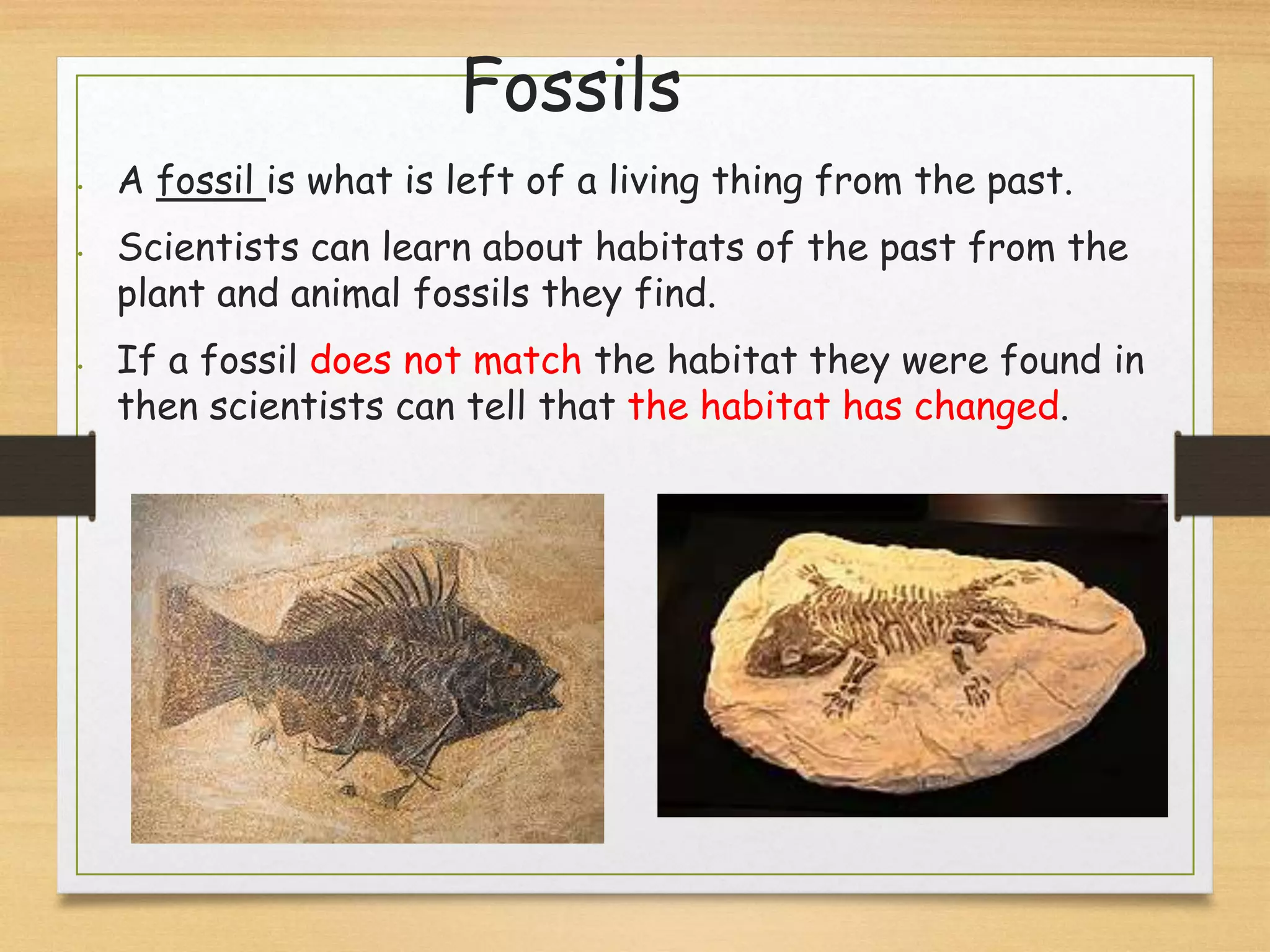Grade 2 Science Review Term 1.ppt