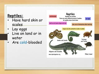 Grade 2 Science Review Term 1.ppt