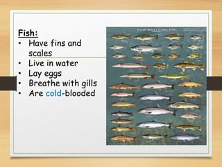 Grade 2 Science Review Term 1.ppt