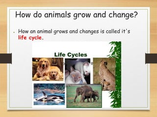 Grade 2 Science Review Term 1.ppt