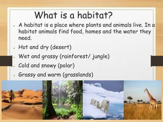Grade 2 Science Review Term 1.ppt