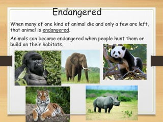 Grade 2 Science Review Term 1.ppt