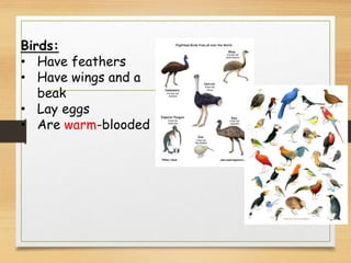 Grade 2 Science Review Term 1.ppt