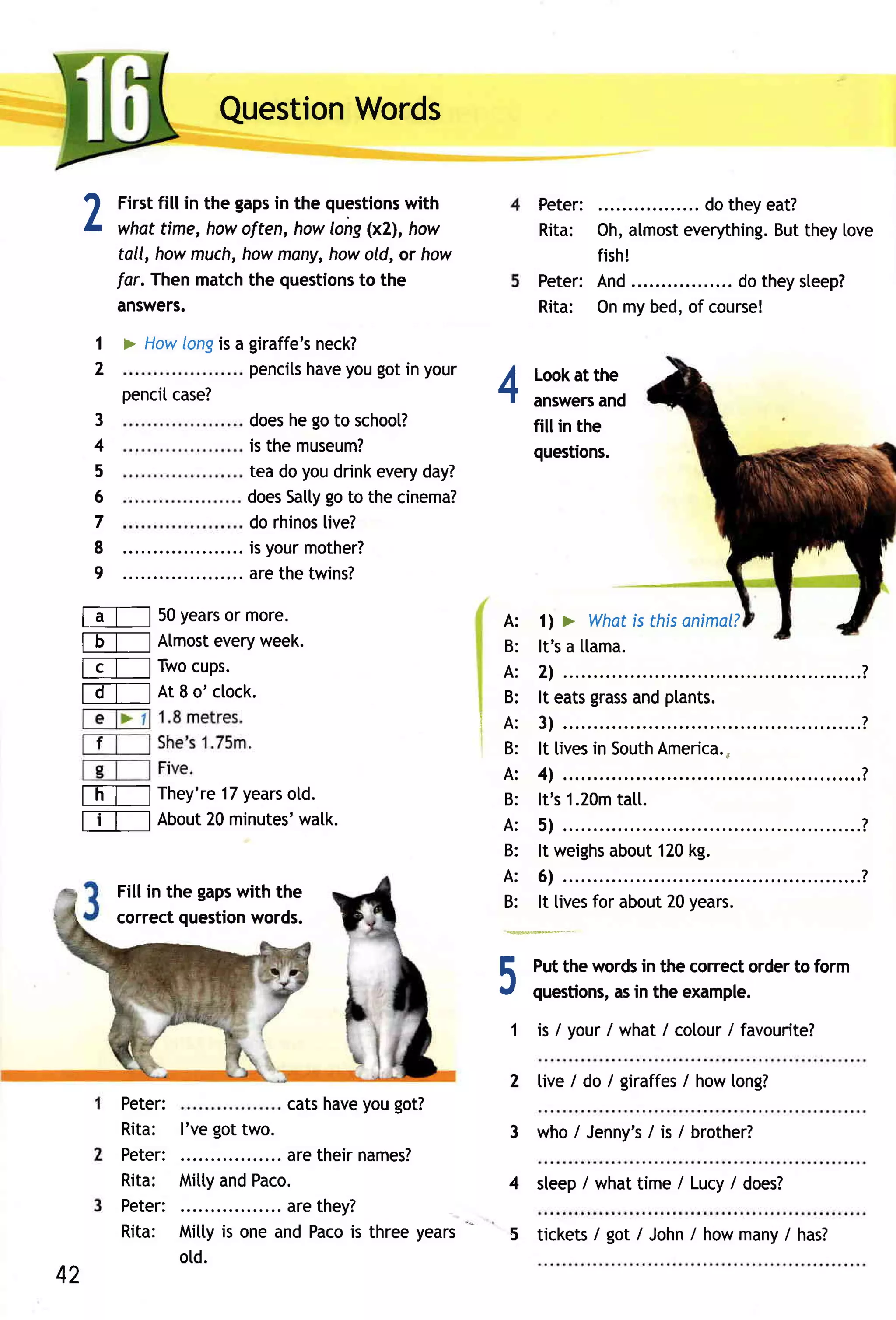 177764907 access-1-grammar-book | PDF
