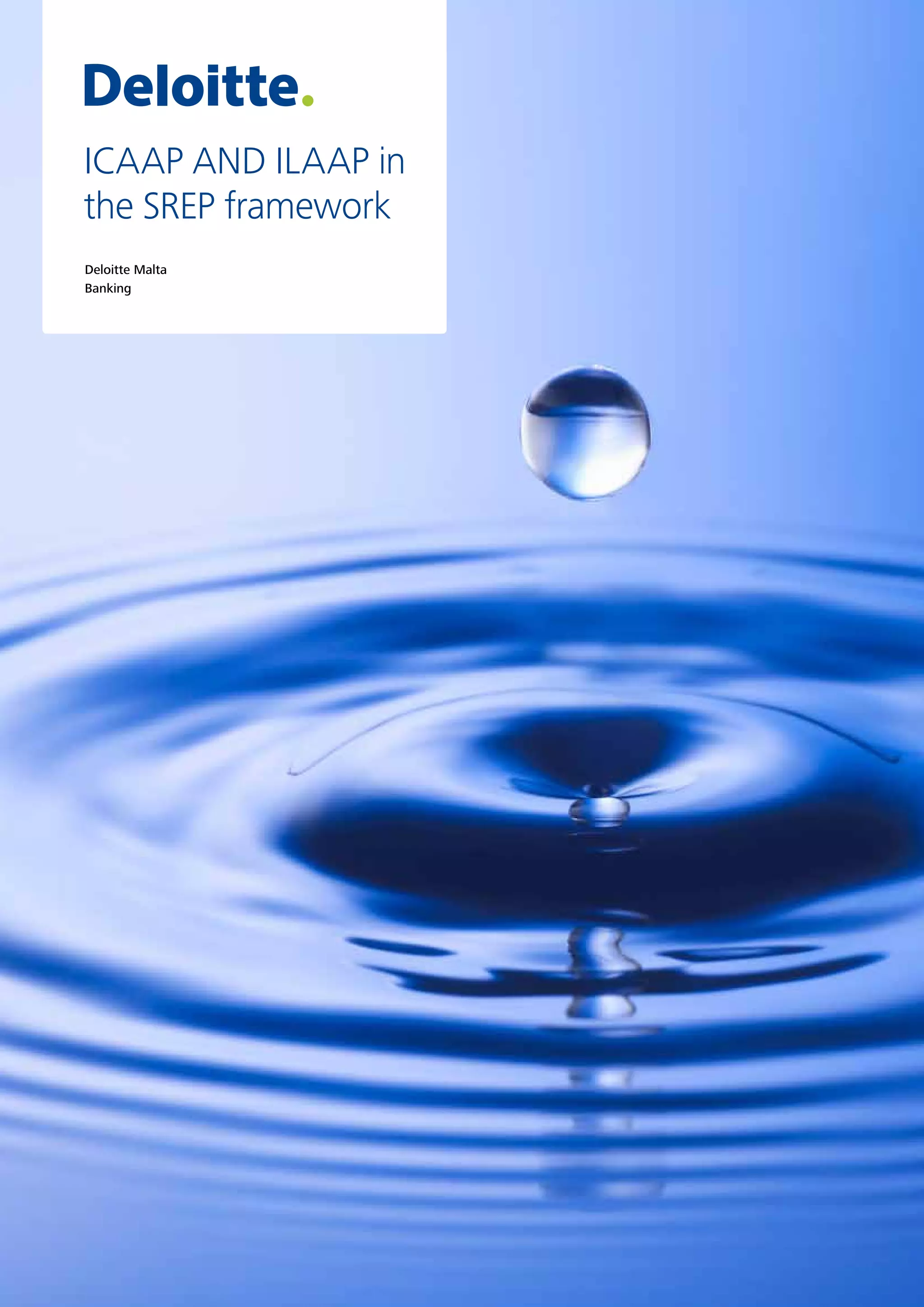 dt_mt_SREP_Pub_ICAAP_ILAAP_220216 | PDF | Business Accounting & Finance ...