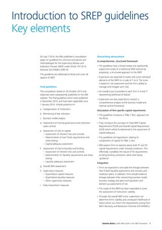 dt_mt_SREP_Pub_ICAAP_ILAAP_220216 | PDF | Business Accounting & Finance ...