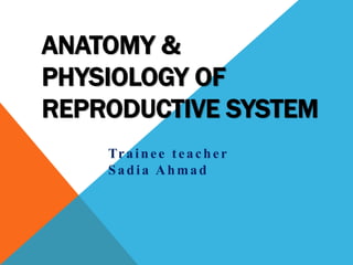 178-Anatomy-Reproductive-System.ppt