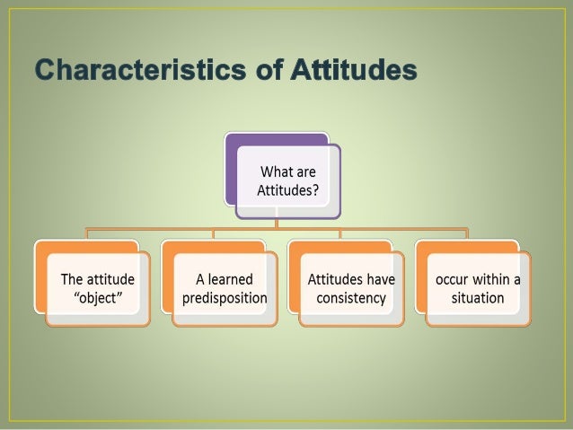 Consumer Attitude Formation and Changes 1784