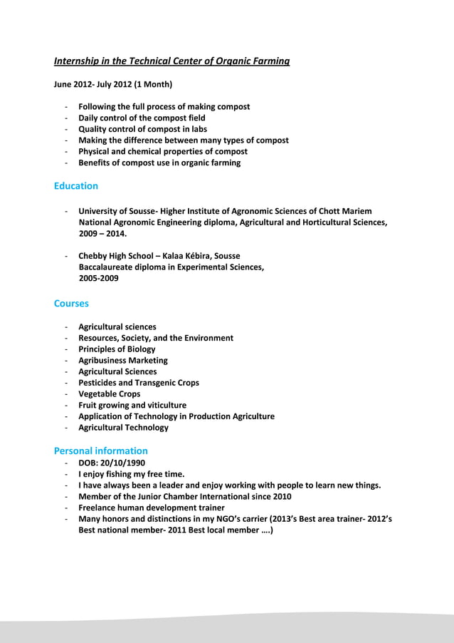 CV Oussama Hedhili (EN) | PDF