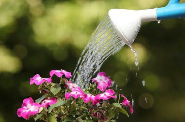 How To Water Properly One’s Home Garden | PDF