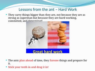 organizational (e.g., educational) leadership .ppt