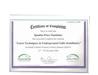 DEWA Training Programmes | PPT