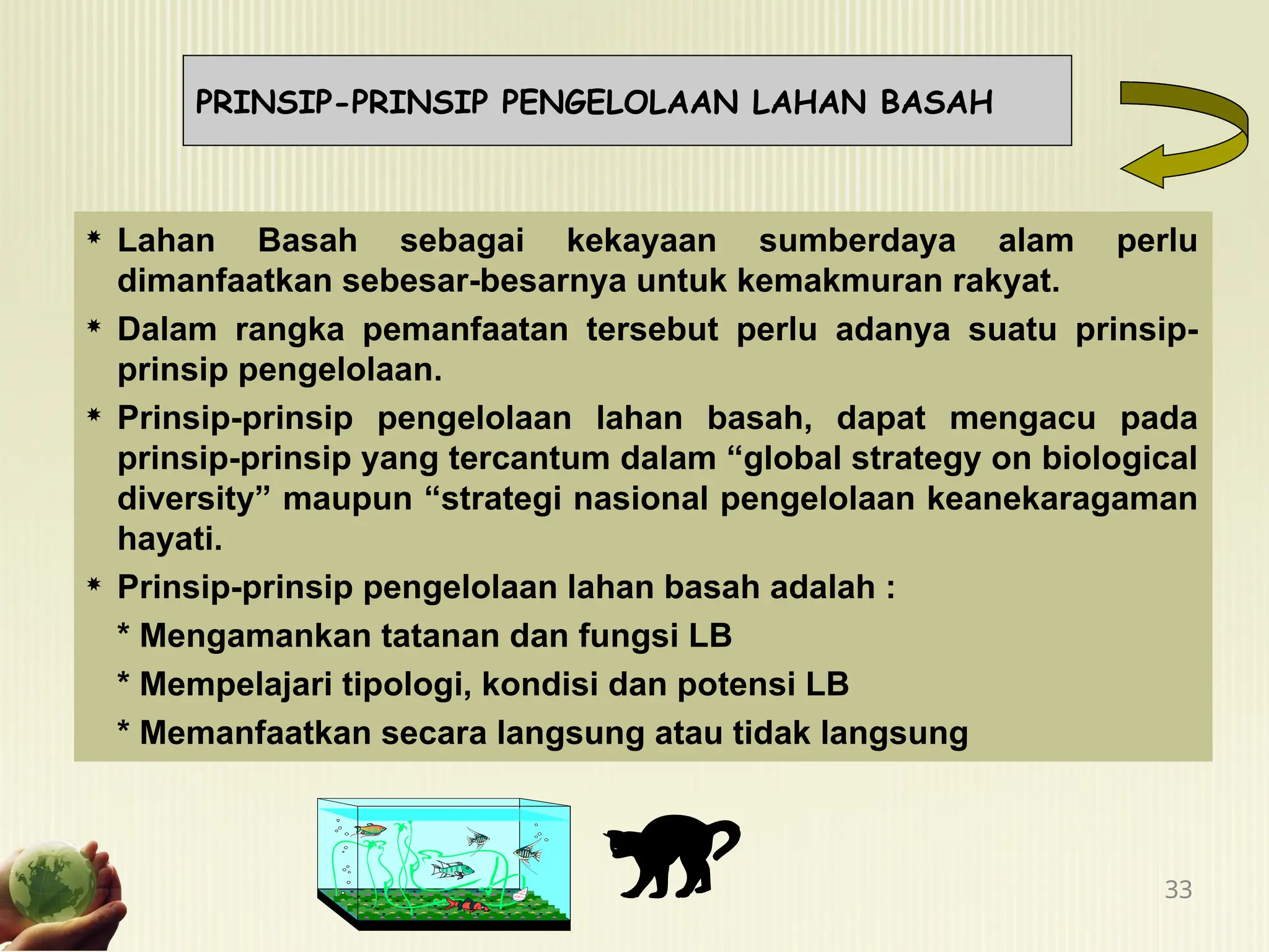 Pengenalan lahan Basah di Indonesia Umumnya | PPT