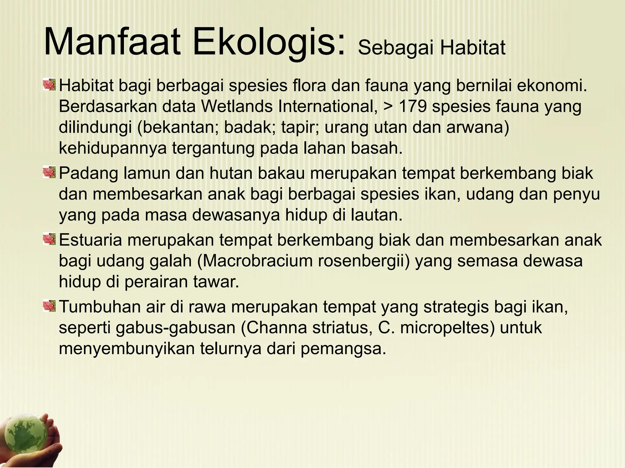 Pengenalan lahan Basah di Indonesia Umumnya | PPT