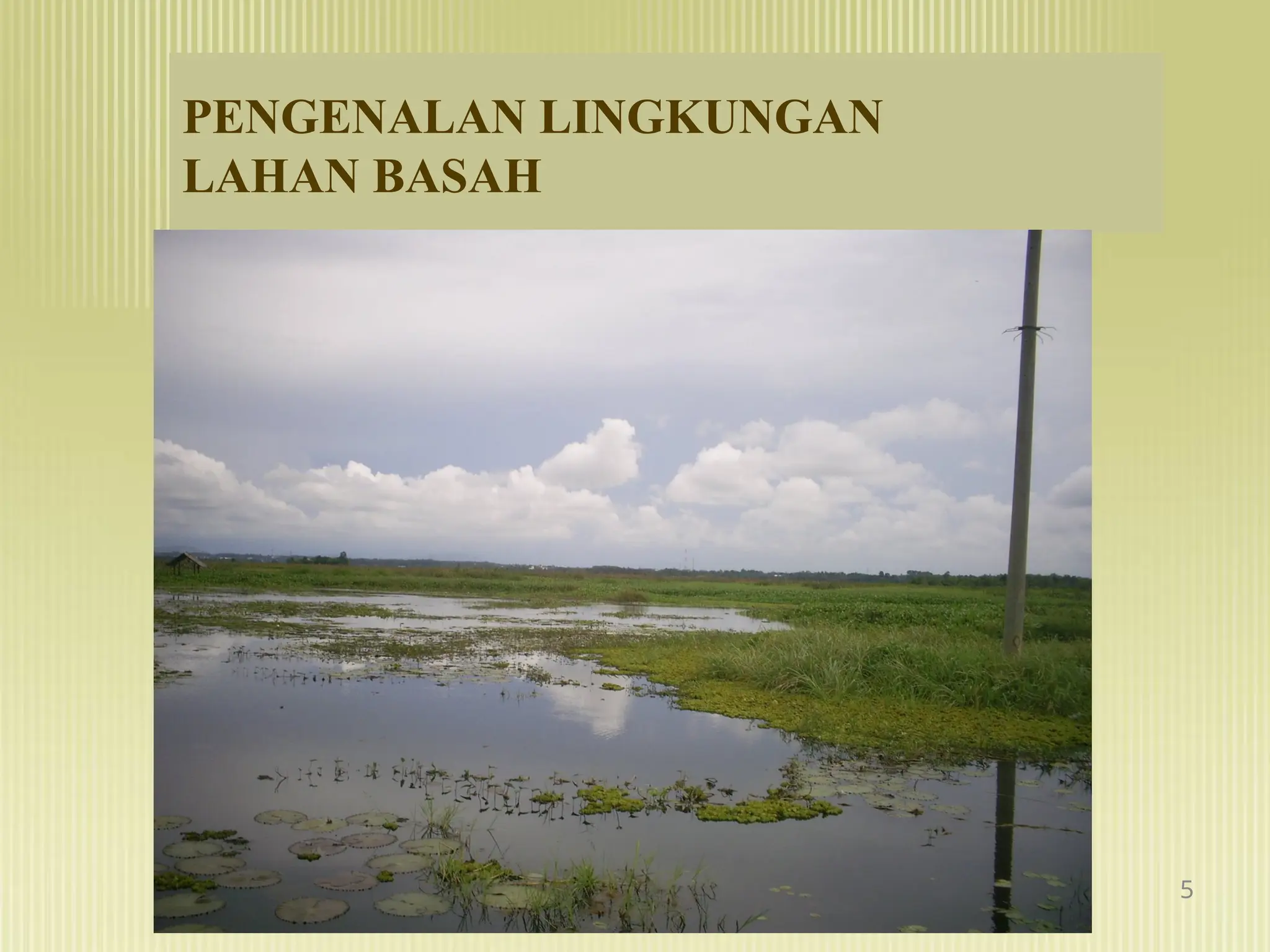 Pengenalan lahan Basah di Indonesia Umumnya | PPT