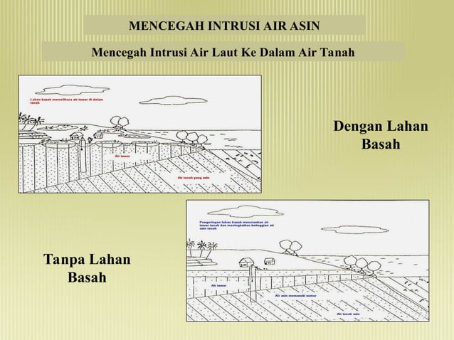 Pengenalan lahan Basah di Indonesia Umumnya | PPT
