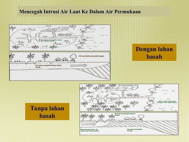 Pengenalan lahan Basah di Indonesia Umumnya | PPT