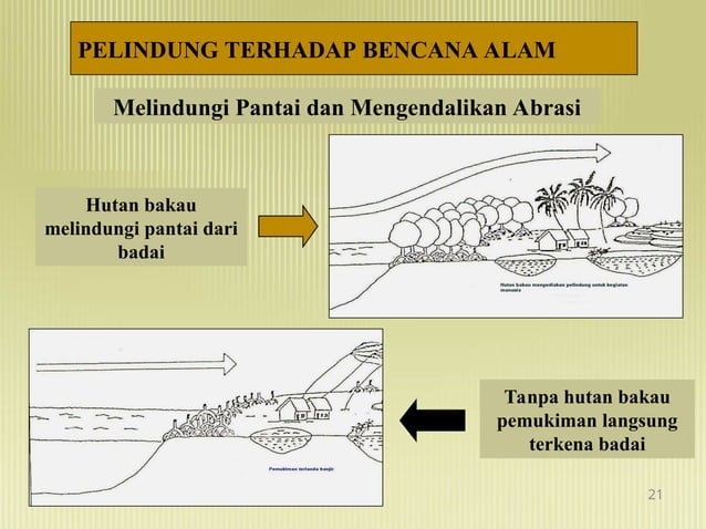 Pengenalan lahan Basah di Indonesia Umumnya | PPT